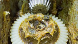 Everything you Need to Know about Open Gear Grease - Take Your Oil