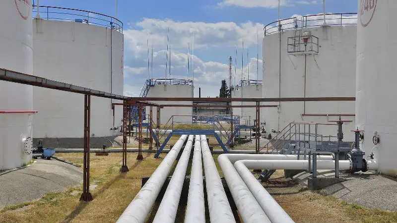 Difference Between Group 3 vs. Group 4 Oil - Take Your Oil